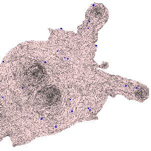 Our Method Succeeds In Constructing Globally Injective Download Scientific Diagram