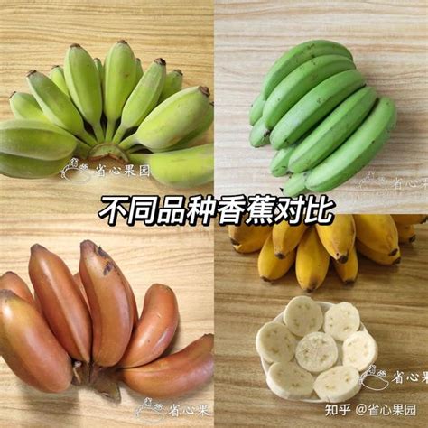 掌握这个催熟方法，一定能吃到软糯香甜的蕉！ 知乎