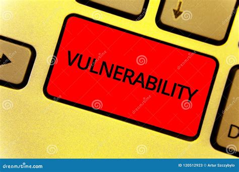 Word Writing Text Vulnerability Business Concept For Information Susceptibility Systems Bug