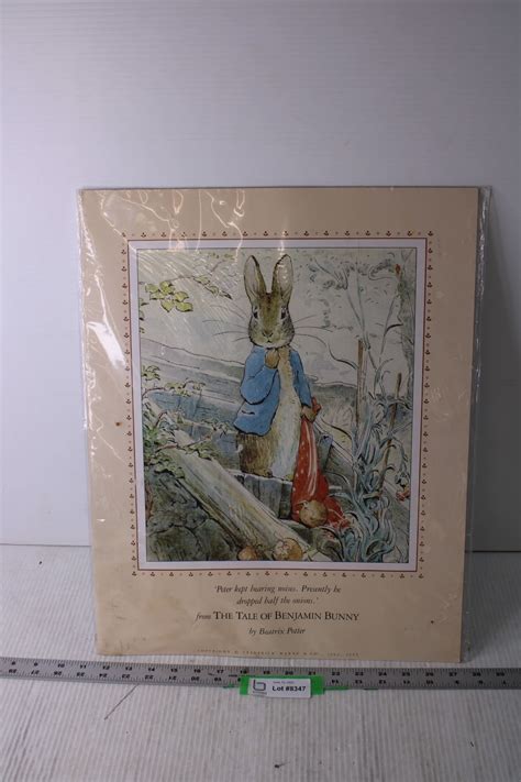 Bunny Poster Nib