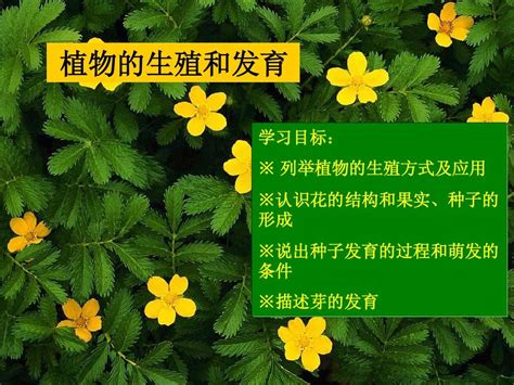 植物的生殖和发育课件word文档在线阅读与下载免费文档