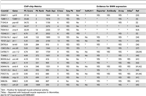 Reporter Gene Construct Details And Results Download Table
