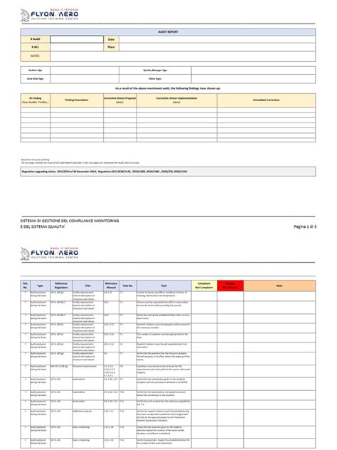 Acl 7 Eng Pdf Audit Auditor S Report