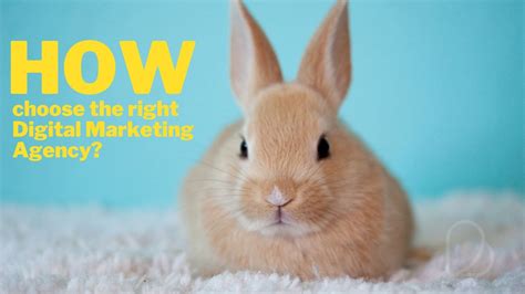 Choosing The Right Digital Marketing Agency In Dubai A Comprehensive Guide