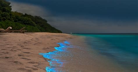 달의 몰락과 발광 플랑크톤 그리고 빛나는 해변 포착 [우주를 보다]