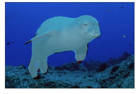 Gluoncv Image Segmentation Using Pre Trained Mxnet Models