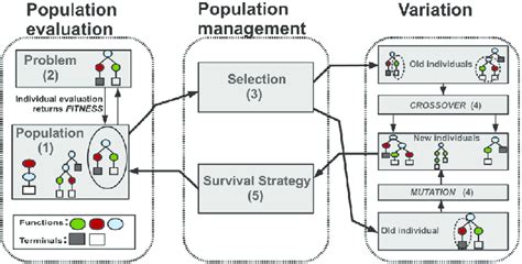 A High Level View Of The Basic Gp Algorithm It Is Possible To Observe Download Scientific