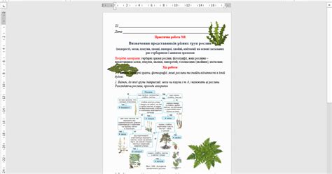 Практична робота №8 Визначення представників різних груп рослин Інші методичні матеріали