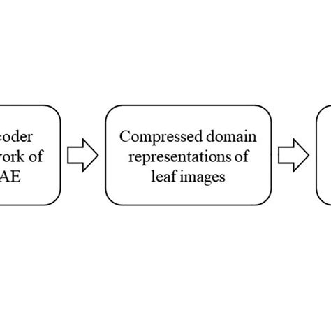 Pdf Plant Disease Detection Using Hybrid Model Based On Convolutional Autoencoder And