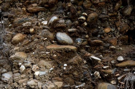 Premium Photo Soil Texture