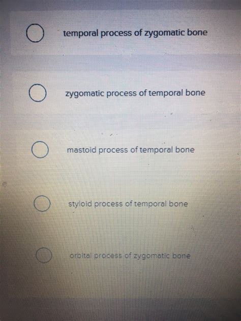 Solved Exam Which Structure Is Highlighted Multiple Choice