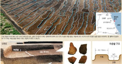 한반도 신석기시대 밭 발견 농경史 1500년 앞당겨졌다