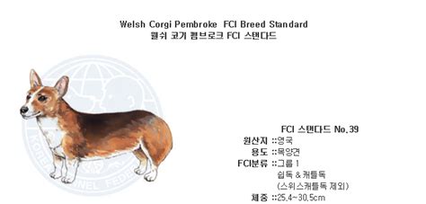 웰시코기 펨브록 웰쉬코기 펨브로크 네이버 블로그