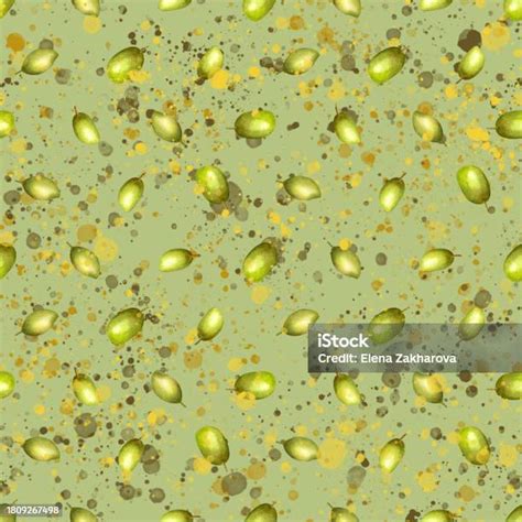 흰색 배경에 고립된 해바라기 수채화 식물 그림 손으로 그린 엽서 초대장 문구류 및 직물을 위한 격리된 요소 0명에 대한 스톡 벡터 아트 및 기타 이미지 Istock