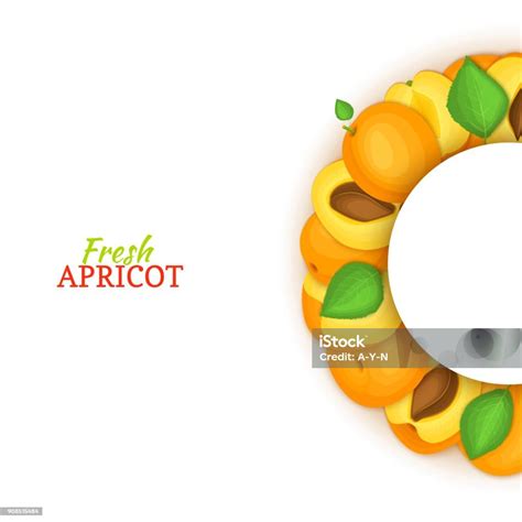 반원 컬러 프레임 맛 있는 살구 열매의 구성 벡터 카드 그림입니다 식품 포장 주스 아침 식사 화장품 차 해독 다이어트의 디자인에