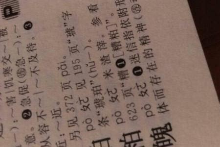 月字旁加专念什么字
