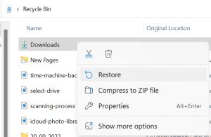 How To Recover Deleted Downloads Folder On Windows