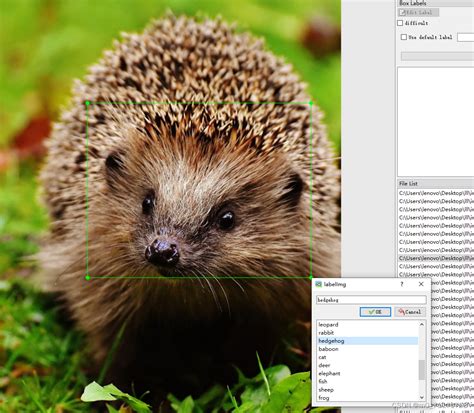 Yolo目标检测项目：实现高效准确的实时目标检测yolo V10毫秒级实时的端到端目标检测开源模型 Csdn博客
