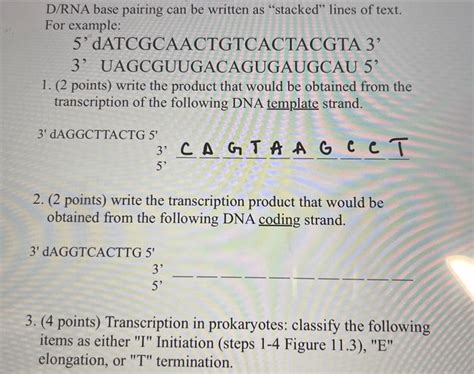 Solved D Rna Base Pairing Can Be Written As Stacked Lines