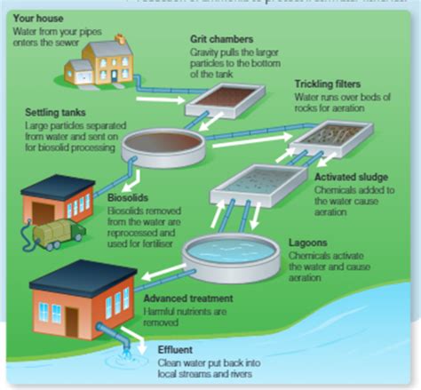 Other Contemporary Urban Environmental Problems Flashcards Quizlet