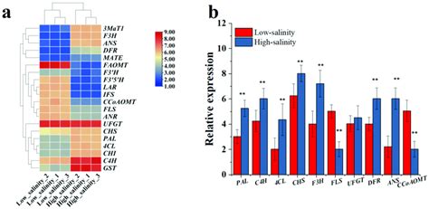 Absence Of The Polyphenol Synthesis Genes Expression In Different