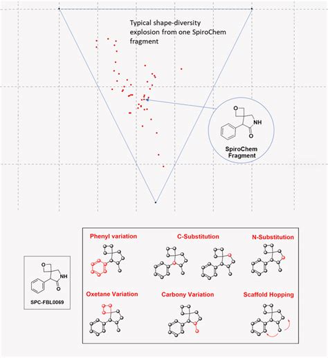 Hit Fragment Expansion Spirochem
