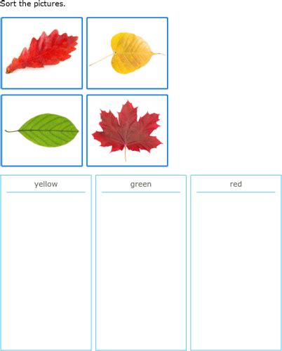 IXL Sort Objects By Colour Foundation Science Practice