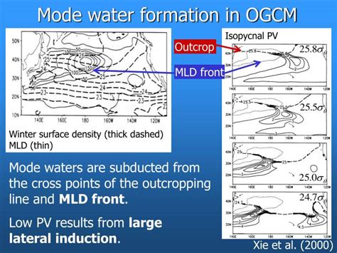 Ppt Water Masses Classification Formation And Modification Powerpoint Presentation Id3409188