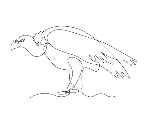 Abstract Bird Of Prey Vulture Continuous One Line Drawing 23161708
