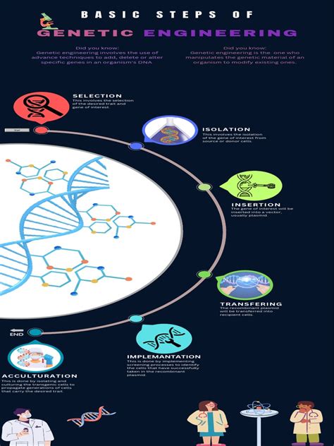 Basic Steps Of Genetic Engineering Pdf Genetic Engineering Plasmid