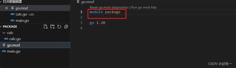 十二Golang 包详解以及go mod CSDN博客