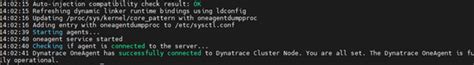 End To End Monitoring For Ec2 Deploying Dynatrace Oneagent On Linux Blogs Perficient
