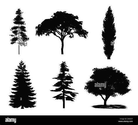 Decorative Set With Trees And Tree Shape Contour Drawing With Tree And