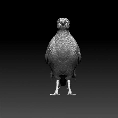 3d Printable Pheasant By Dmitry Tishchenkov