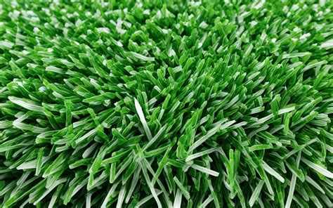 Types Of Artificial Grass Infill Best Choices Explained