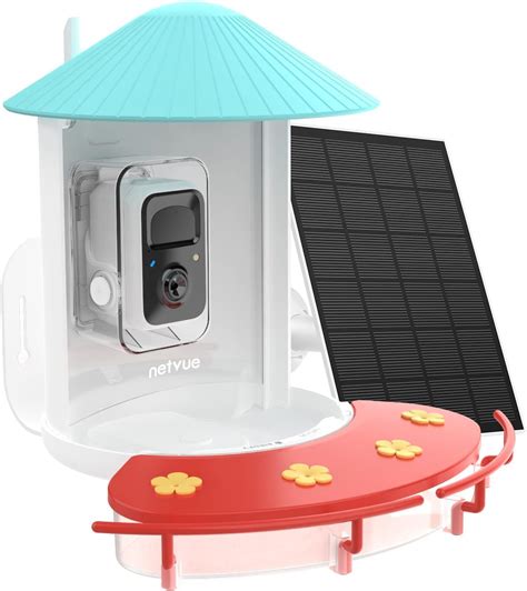 Netvue Birdfy Solar Panel Humming Bird Feeder Extension Perch Patio Lawn And Garden