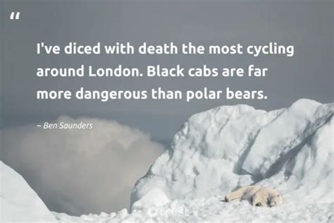 22 Polar Bear Quotes About The King Of The Arctics