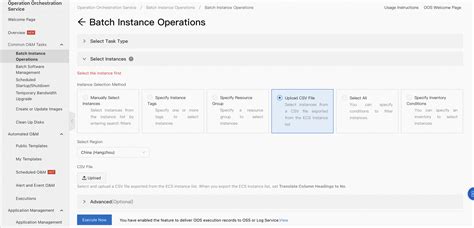Select Ecs Instances By Uploading A Csv File Operation Orchestration