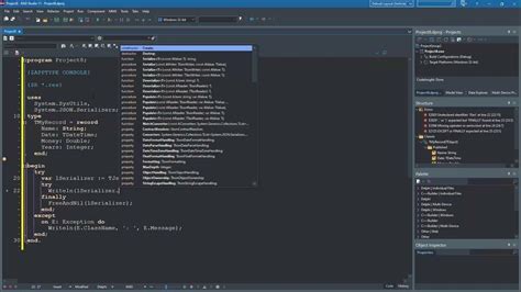 Delphi 11 Converting A Record To A Json String Serialization Quick