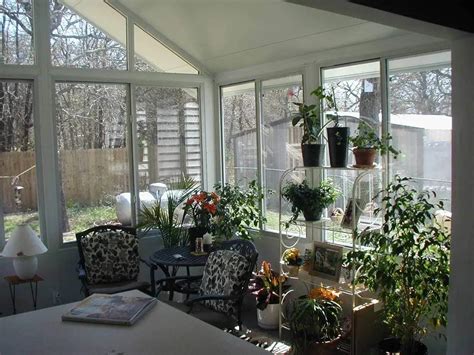 Six Great Indoor Plants For Your Texas Sunroom Sunshine Sunrooms