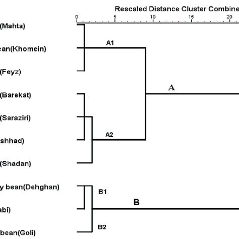 Dendrogram Of Different Host Plants According To Life Table Parameters Download Scientific