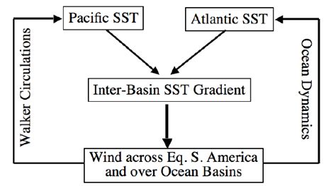 Schematic Diagram Showing That A Positive Feedback Loop Involving The Download Scientific