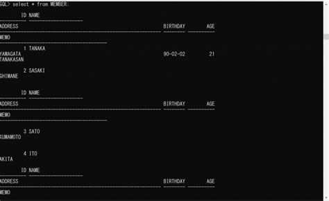 【a5 sql mk 2】「読み取り専用のため、このsqlは実行できません」の対処方法 sierな備忘録