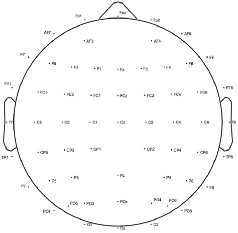 Brain Sciences Free Full Text Dynamic Neural Patterns Of Human