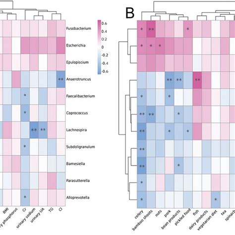 Spearman Correlation Analysis Between Differential Bacterial Genera Download Scientific