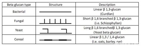 Comparison Of Different Beta Glucans From Structure