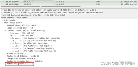 ospf域内、域间、域外实验及配置——超详细！！ ospf跨域实验 csdn博客