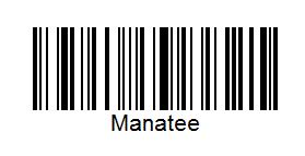 Code 128 Cognex Mobile Barcode Scanner SDK Cognex