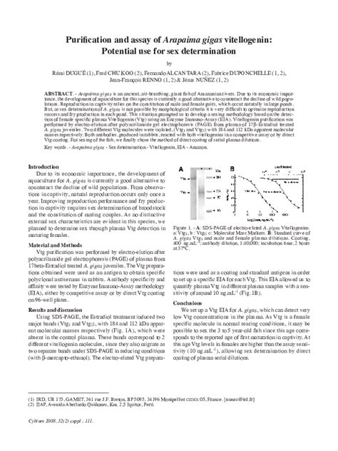 Pdf Purification And Assay Of Arapaima Gigas Vitellogenin Potential Use For Sex Determination