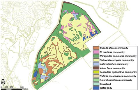 A Physiognomic Vegetation Map Showing The Projected Area For The